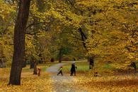 Oslo Travel guide, Oslo Tours, Hotel deals - Oslo, Norway